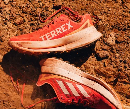 Adidas Terrex Agravic Speed Ultra | Supershoe | Avis 2025